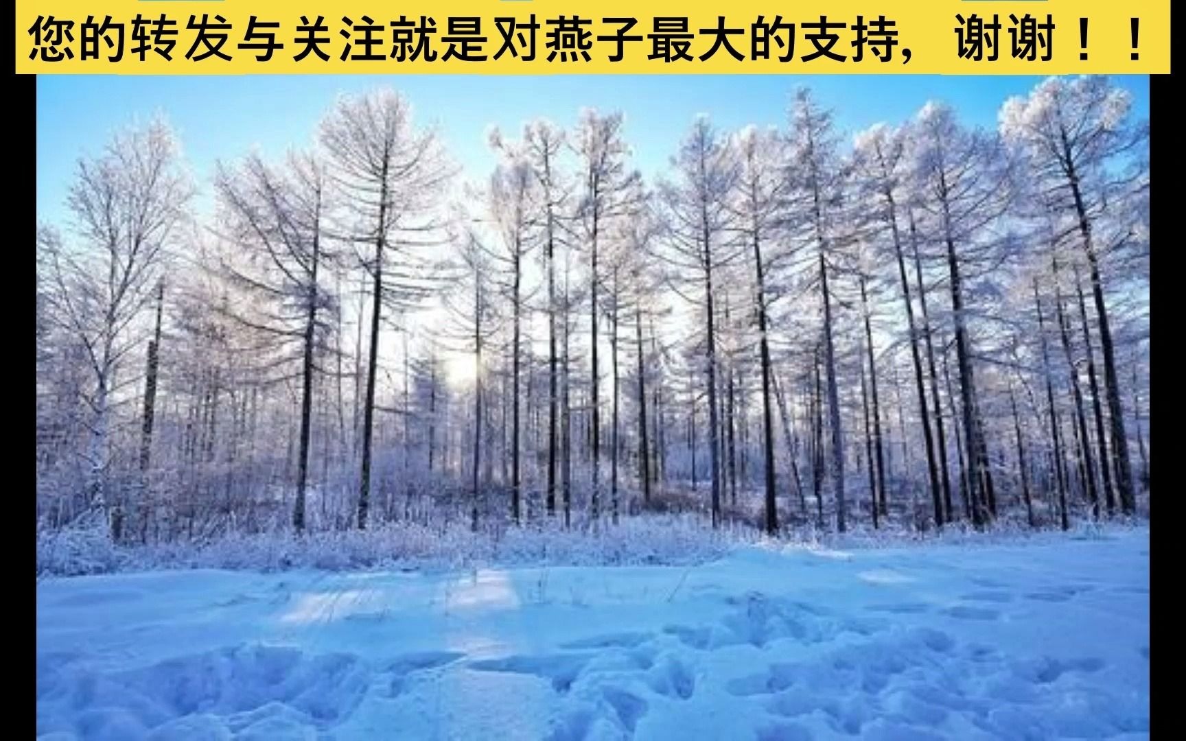 白桦林-男女对唱