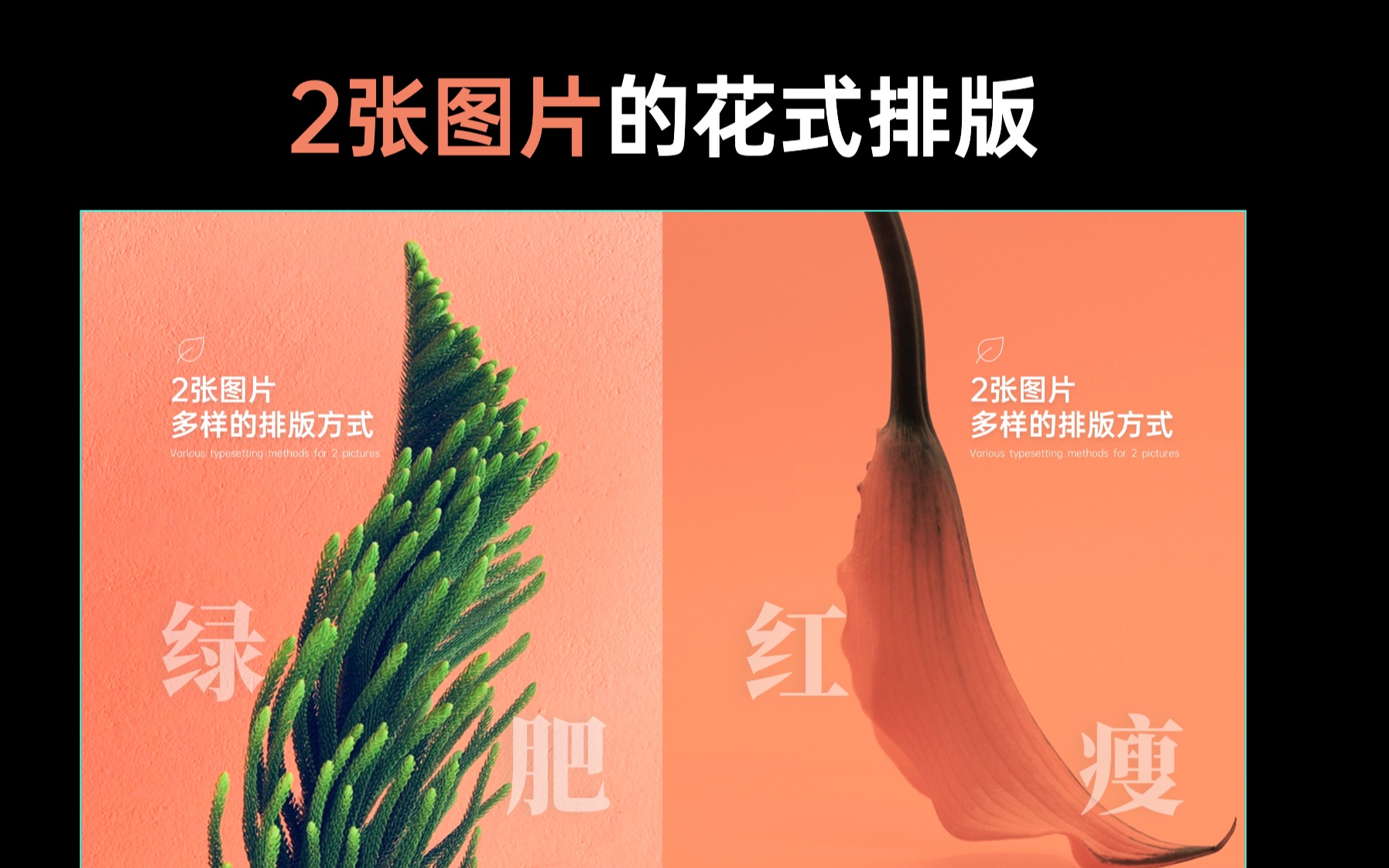 PPT图片排版太单调?教你用2张图花式排版,超实用~