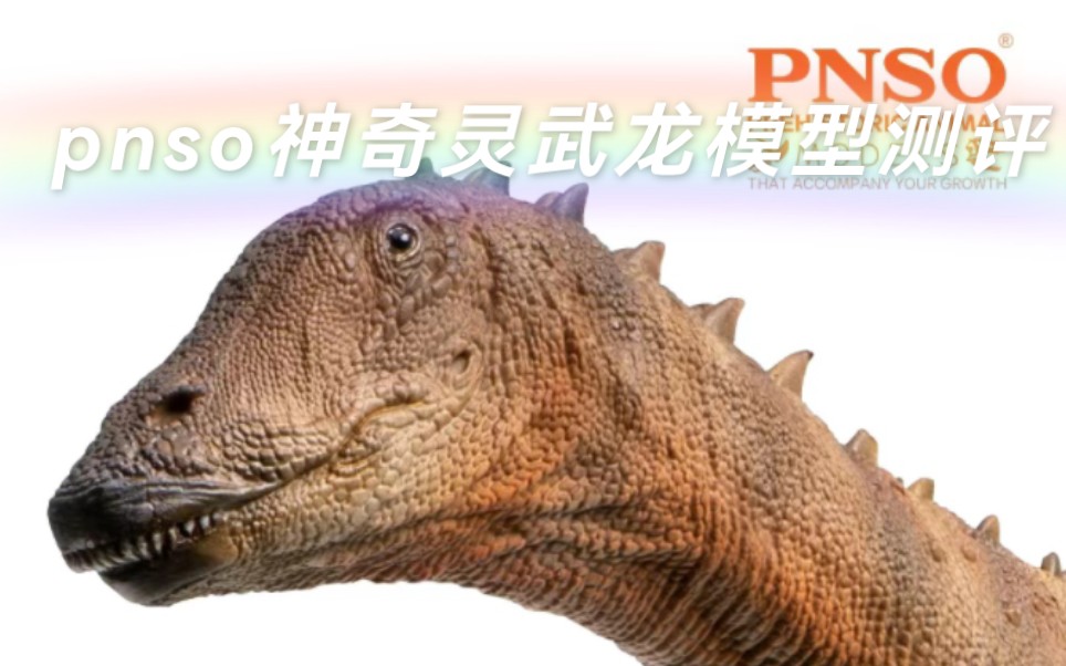(恐龙模型)pnso恐龙大王灵武龙模型测评—匆忙制作，感谢三连。