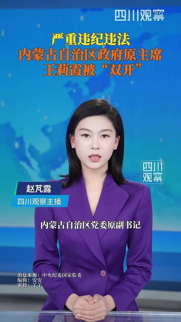 王莉霞严重违纪违法被双开