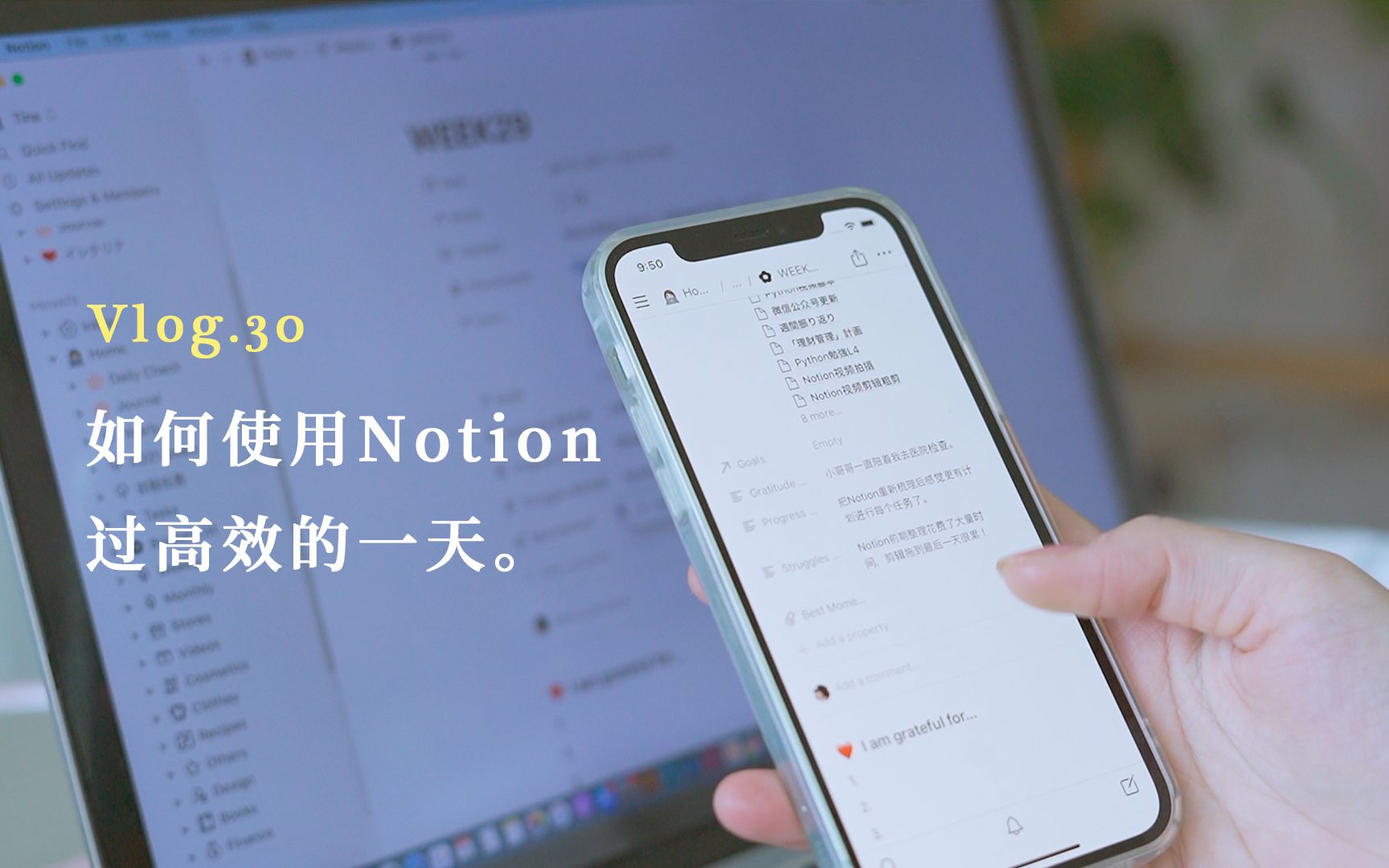 VLOG#30|如何使用Notion过高效自律的一天。|Notion日程管理/复盘/...
