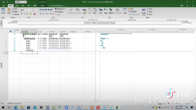 Project软件入门
