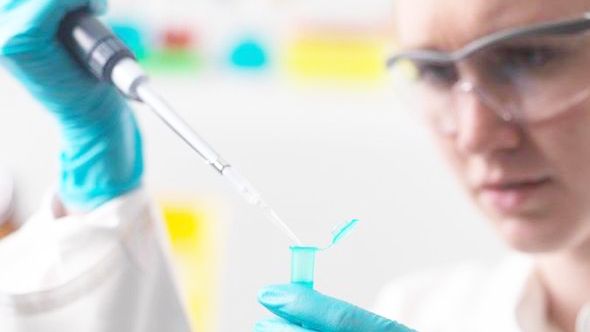探长说天下 哺乳动物红细胞没有细胞核 那么血液怎么验DNA?