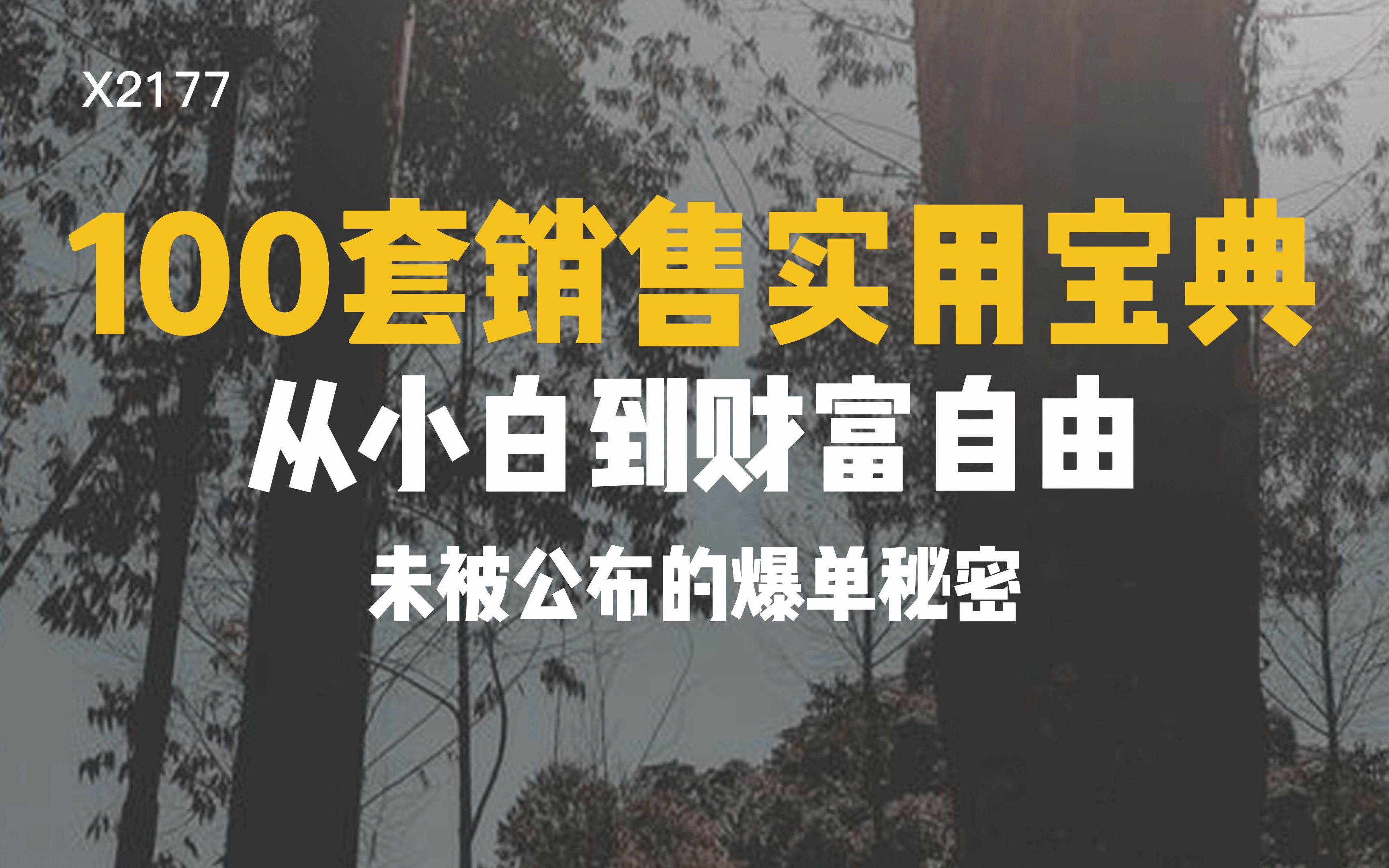 销售话术教学资料课程 销售营销学习 培训 视频 教程