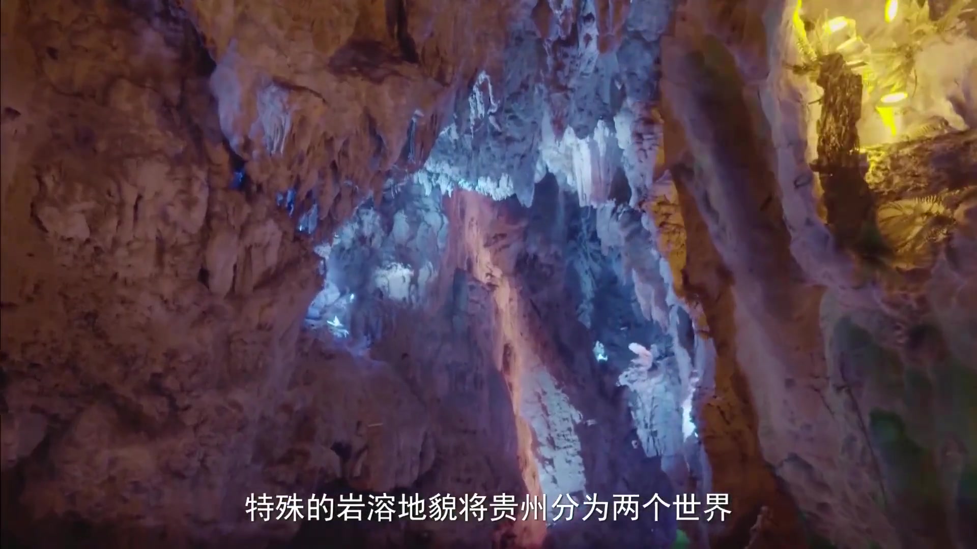 《保护生物多样性• 贵州》多彩贵州,生态文明建设出新绩的贵州