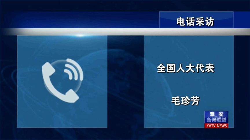 四川代表团分组审议政府工作报告 全国人大代表毛珍芳发言