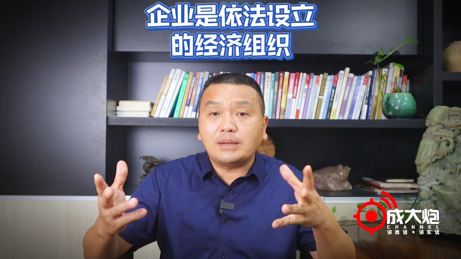 企业是依法设立的经济组织