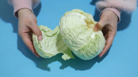 包菜叶子不好撕,教你一个简单步骤,撕下完整漂亮的包菜叶子