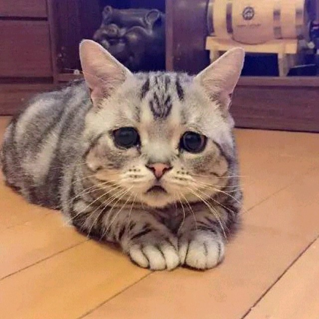 趣闻微视频 