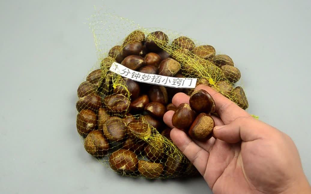 新鲜板栗很难保存?教你一招,这样放一年都新鲜,一点也不变质