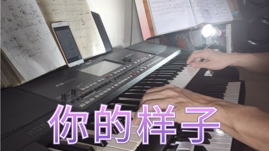 经典怀旧歌曲《你的样子》