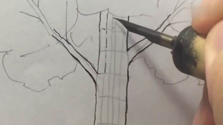 怎么画好一颗树,简单易学,快来一起画