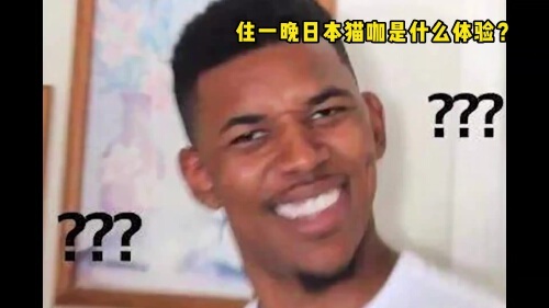猫咪咖啡馆竟然不止可以撸猫,还能和小猫窝里共度美妙夜晚!