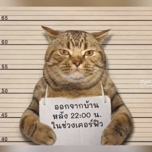 吃白象用华为看战狼10 