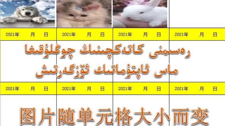 随单元格大小嵌入图片#wps技巧 #wps表格 #excel技巧 #wps学习