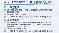 4.7 Transact-SQL语言中的注释_1