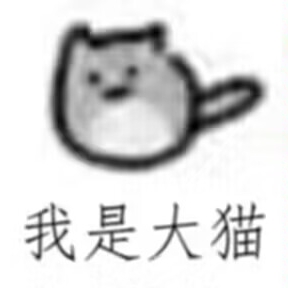 大大猫BIGCATCAT 