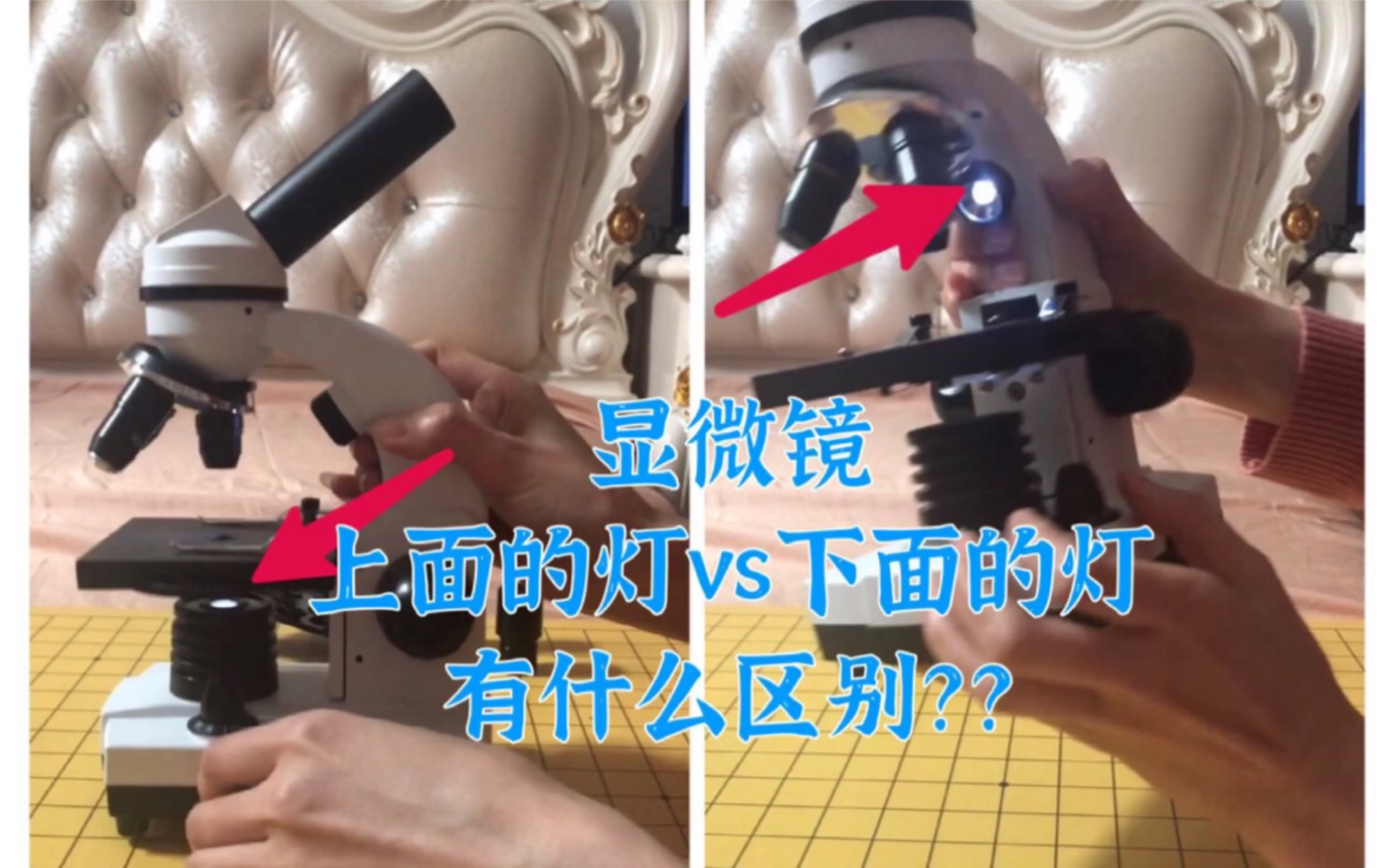 显微镜上面的灯vs下面的灯,有啥区别?功能一样吗?