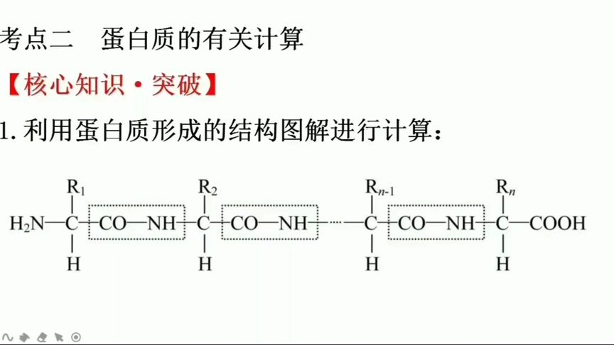 蛋白质的有关计算,一个视频给你整明白,想高考提分的同学快来