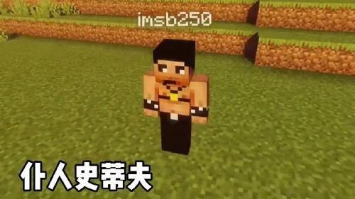 《我的世界》联机皮肤大赏:朋友选的皮肤让我笑到崩溃!