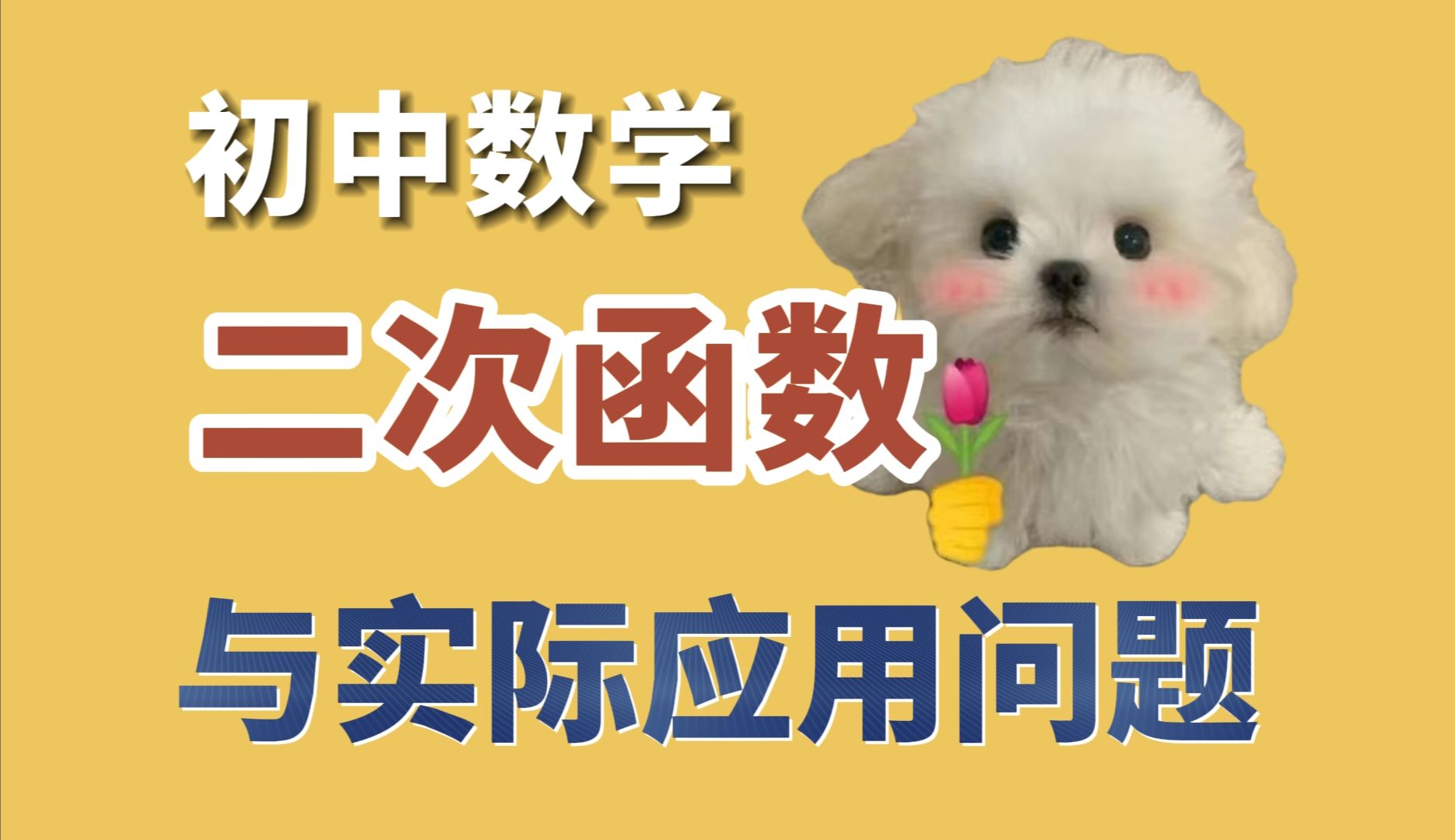 【初中数学】二次函数与实际问题,题型大总结