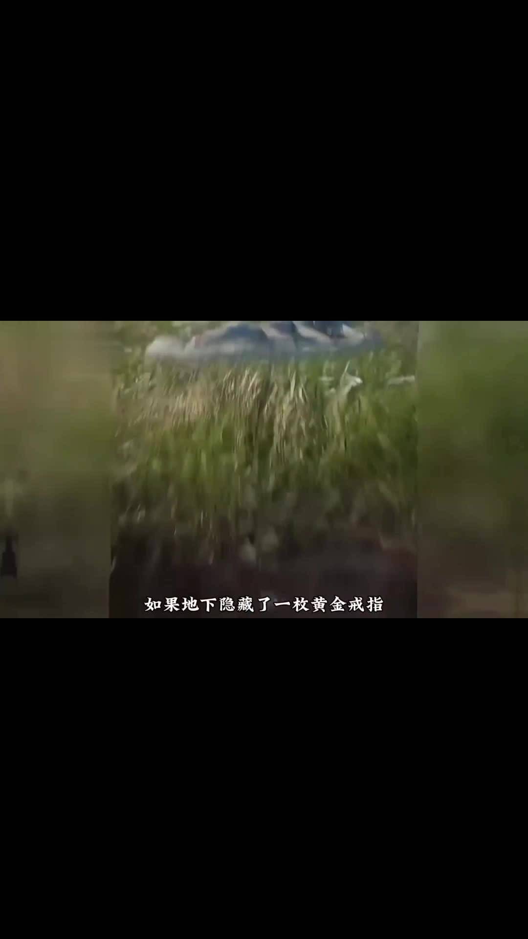 金属探测器是如何探测到地下的金属物品?