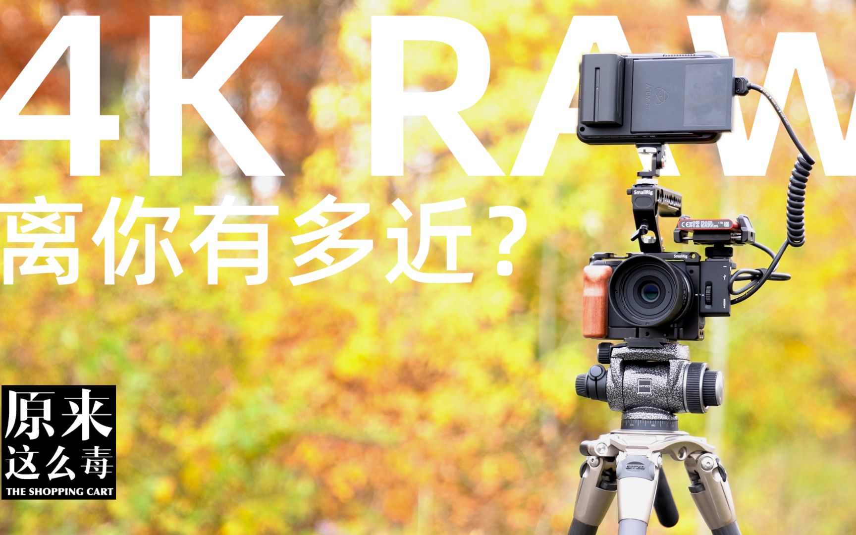 4K RAW离你有多近?——适马fp Cinema DNG视频枫叶大作战|原来...