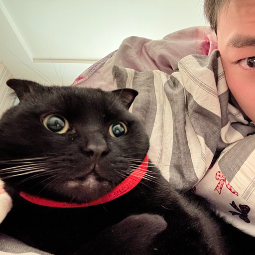 作家协会重点保护对象 