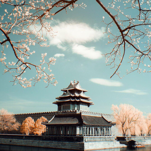 Arnold_Jinyuan 