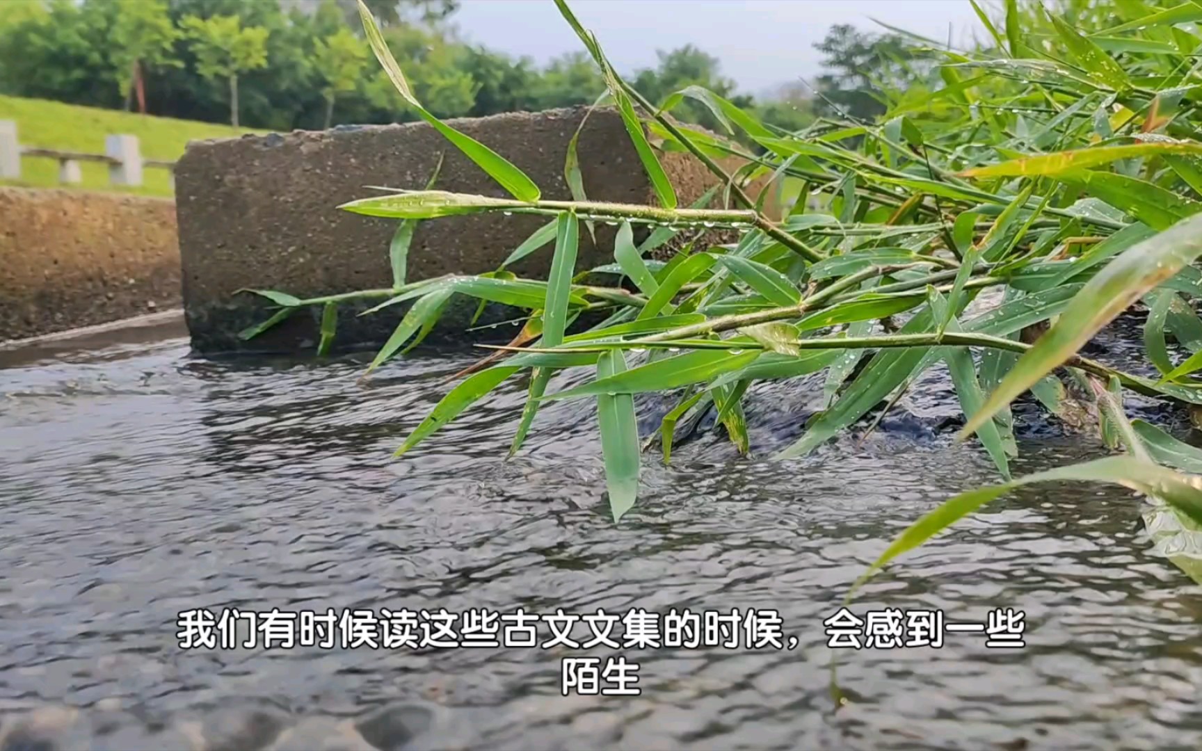 阅读方式分享——如何更好的读懂古文