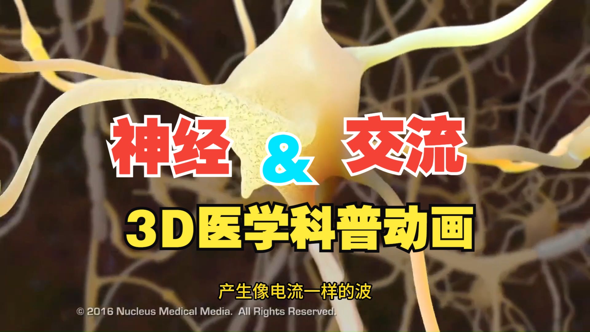 你的神经细胞之间是怎么联系的?3D医学科普动画带你看