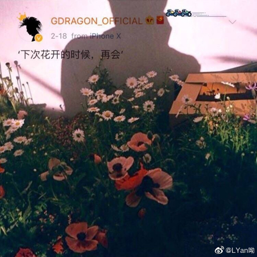 Tian5-16 
