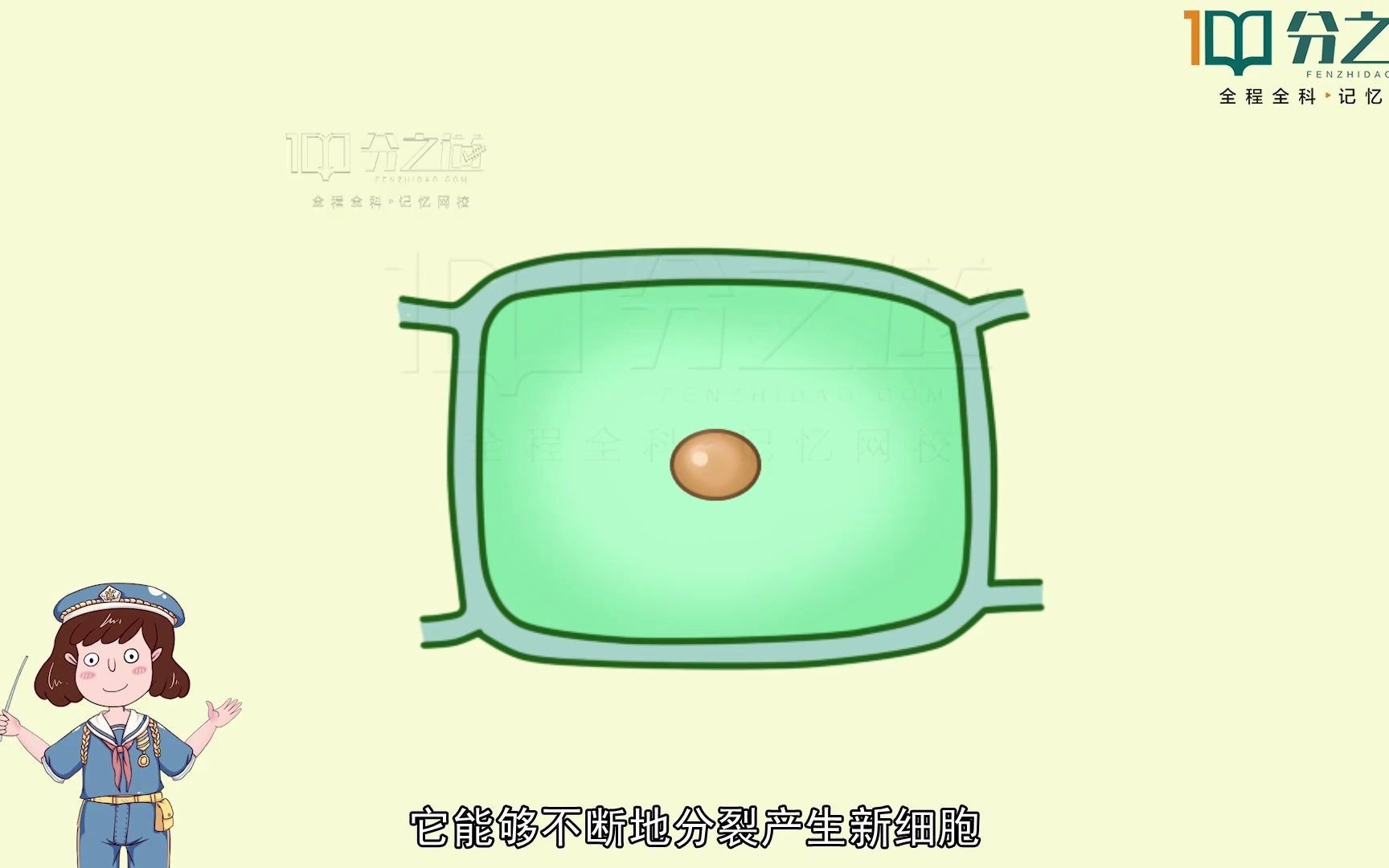 分之道七年级生物知识点记忆:植物体的结构层次
