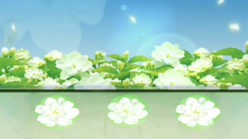 高清唯美《茉莉花》自制背景素材梦幻绚丽色彩大气盛放绽开太美了