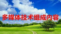 多媒体技术组成内容