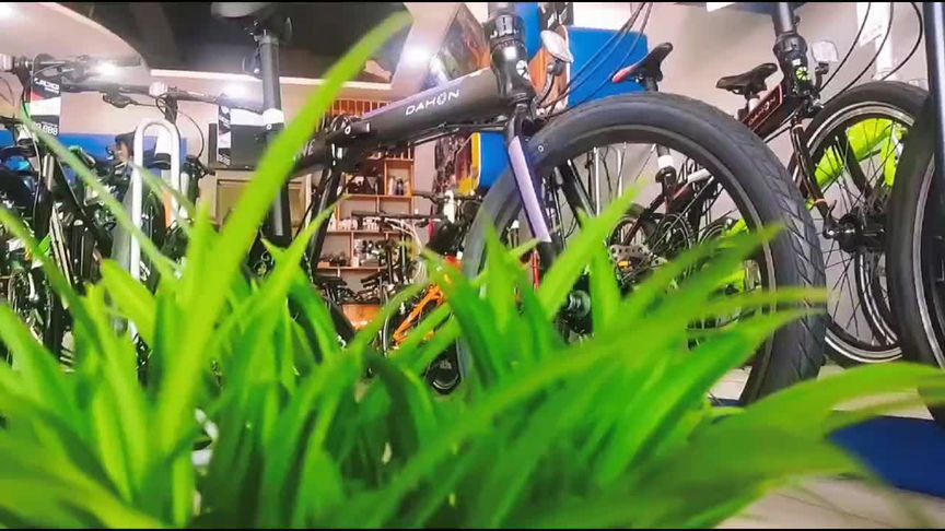 #大行折叠自行车 美 不是一时冲动 而是一种习惯 #生活