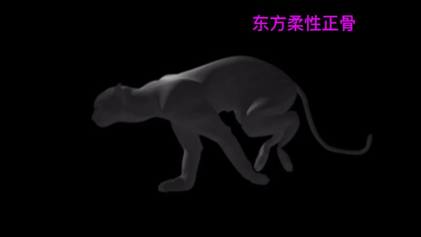 丹田在哪里呀,丹田在哪里!