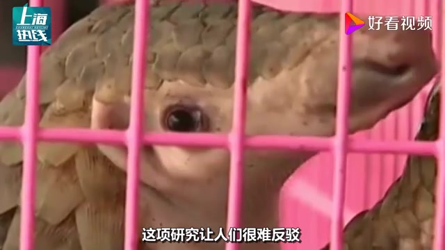 美科学家称武汉不是新冠病毒源头 传播已久!