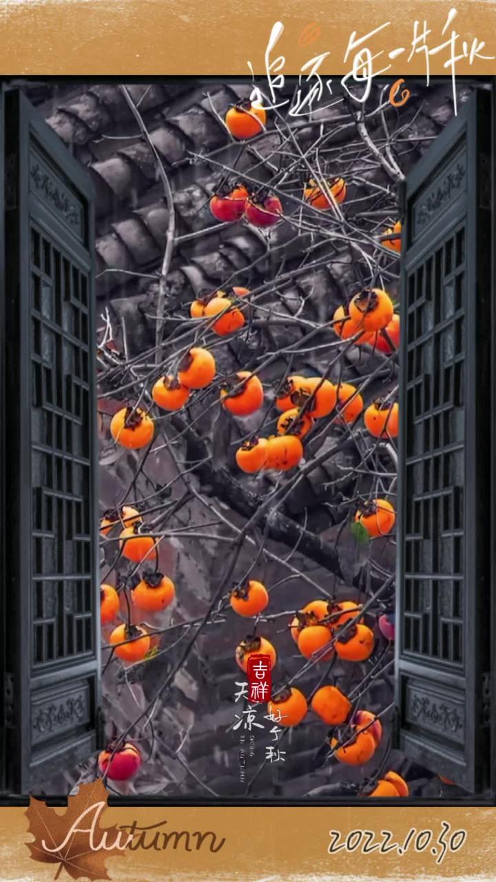 .b>剪映模板,更换自己的照片或视频