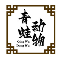 青蛙动物 