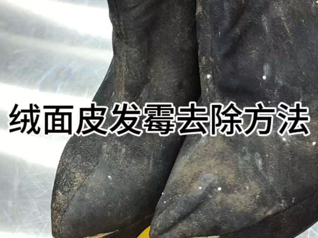 绒面皮发霉去除方法