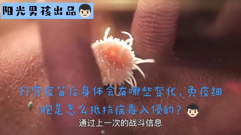知识科普 疫苗 免疫细胞 涨知识 神秘