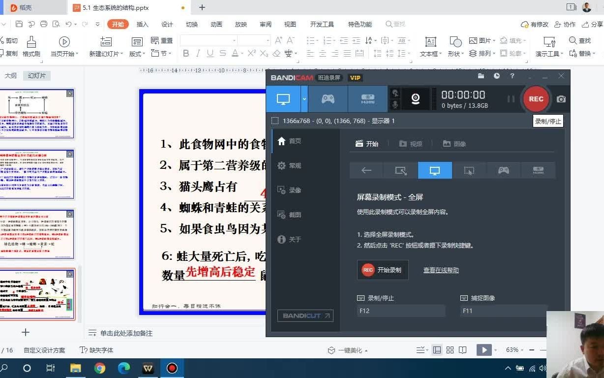 专题 生态系统的结构