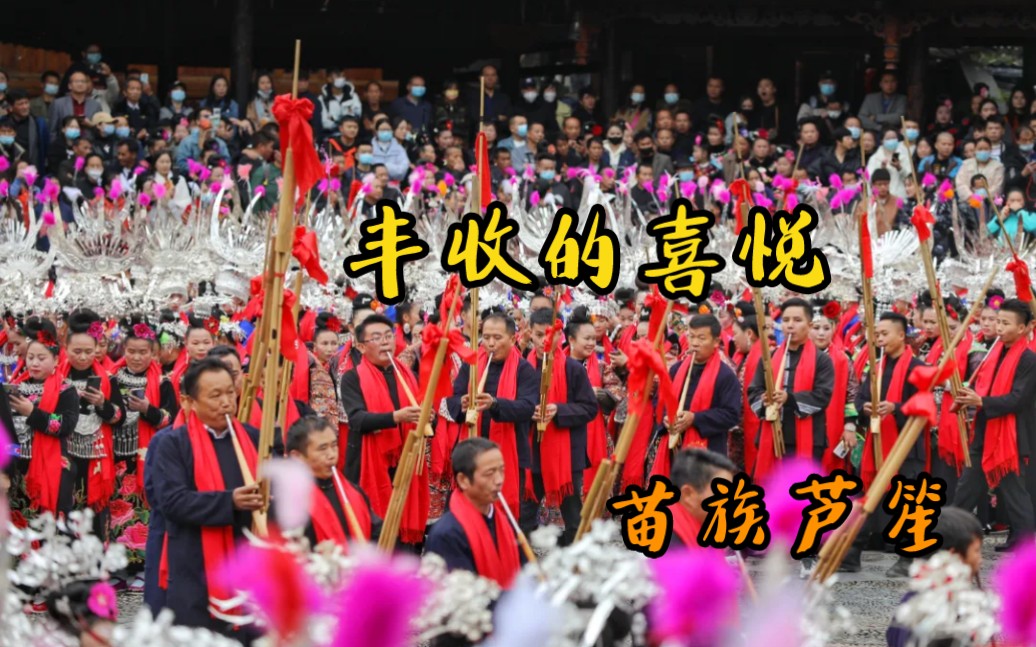 【民族日常】苗族民间高手吹奏经典芦笙曲《丰收的喜悦》|演奏:吴基毅