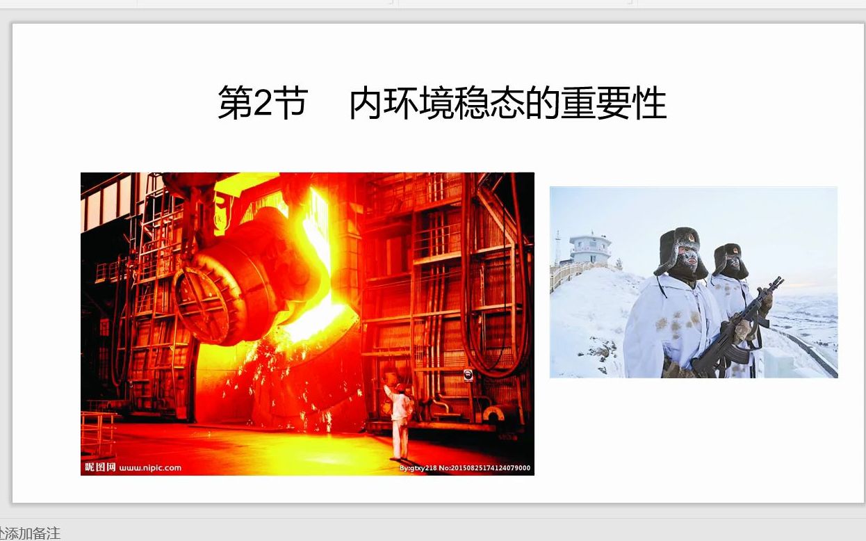 1.2 内环境稳态的重要性