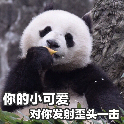 夏洛尔 
