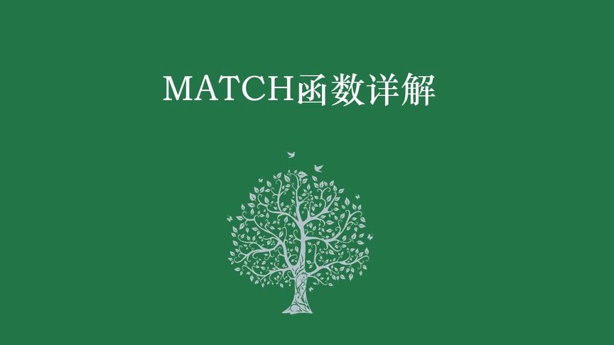 MATCH函数详解 #match函数 #查找