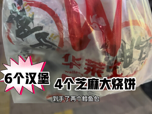 孩子吃汉堡妈妈一次买6个俩孩分着吃妈妈吃4个芝麻大烧饼