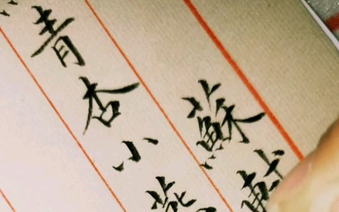 ...花褪残红青杏小。燕子飞时,绿水人家绕。枝上柳绵吹又少。天涯何处...
