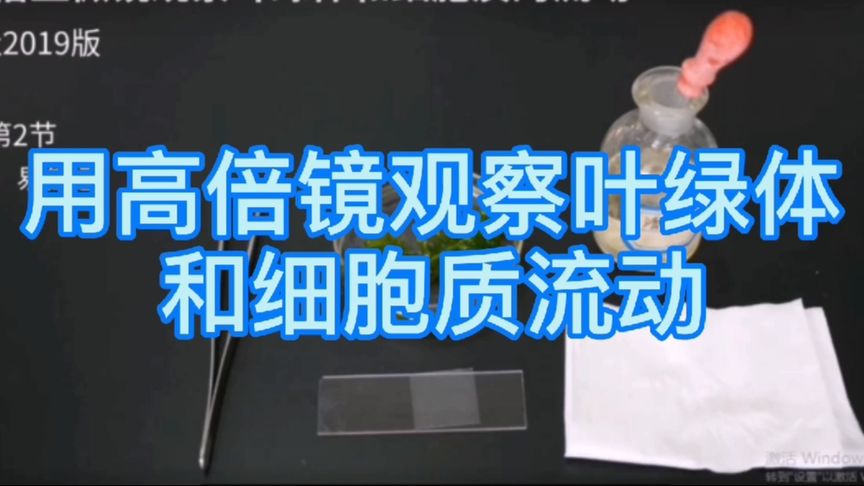 高中生物实验视频合集——用高倍镜观察叶绿体和细胞质流动